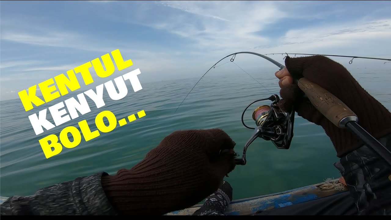 MANCING KENTUL KENYUT BOLO - YouTube