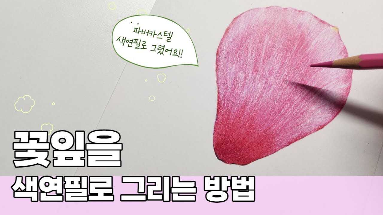 차근차근 꽃잎 그리는 방법!! 색연필 기초/How to draw petals step by step!! - YouTube