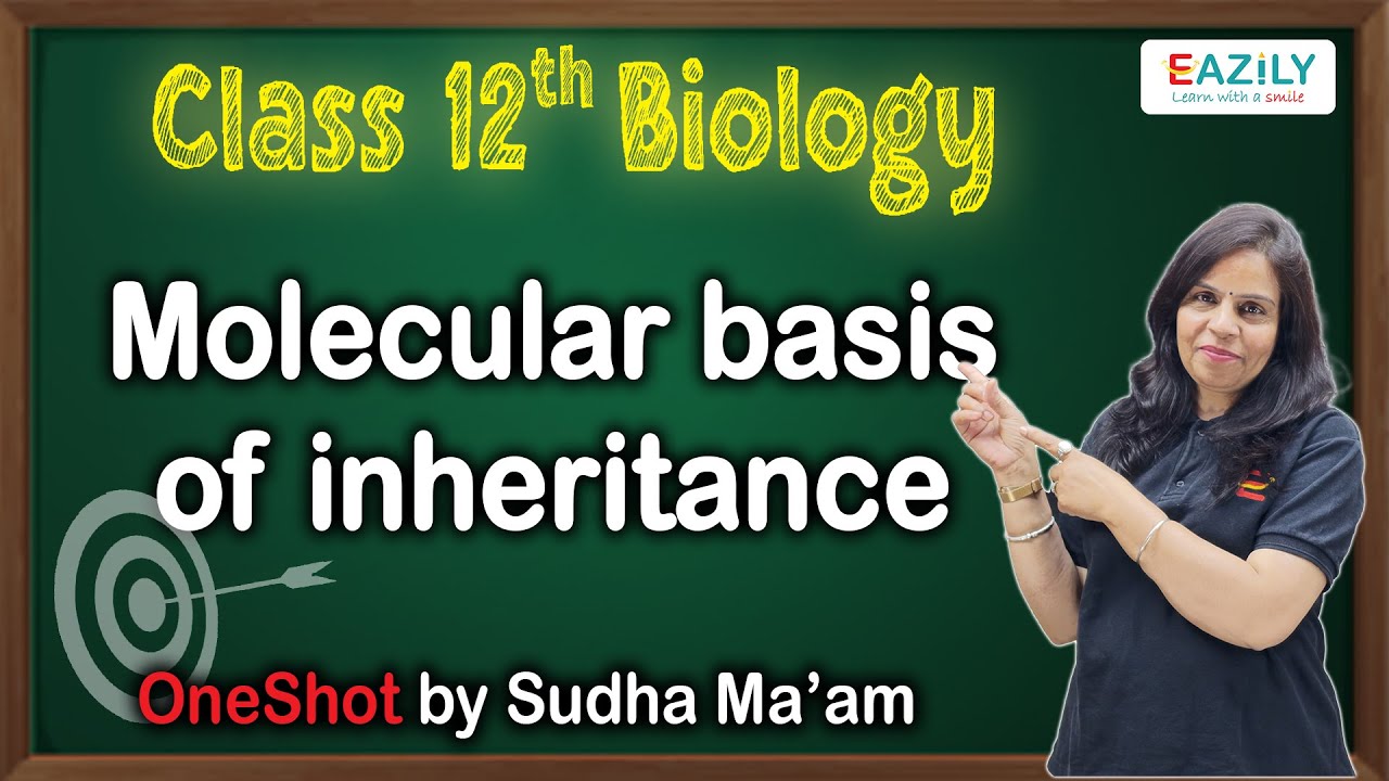 Molecular Basis of Inheritance | Complete Chapter in One Shot video ...