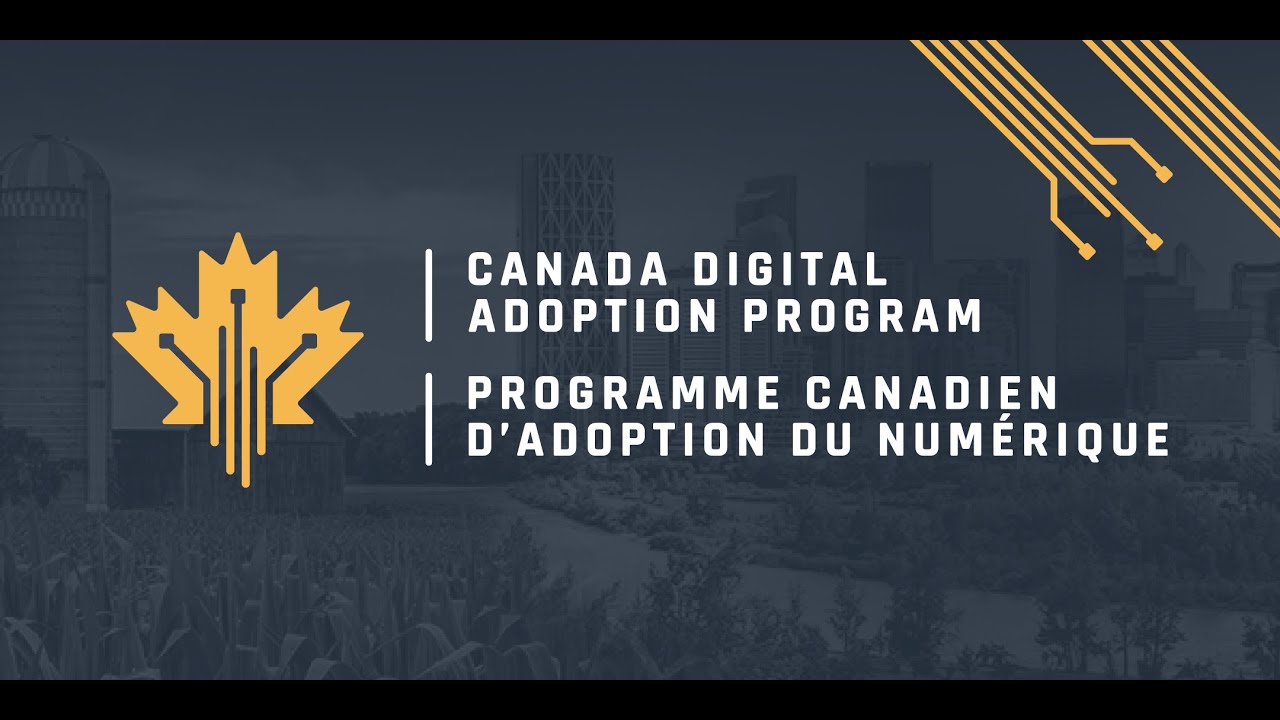 Canada Digital Adoption Program (CDAP) Information Session - YouTube