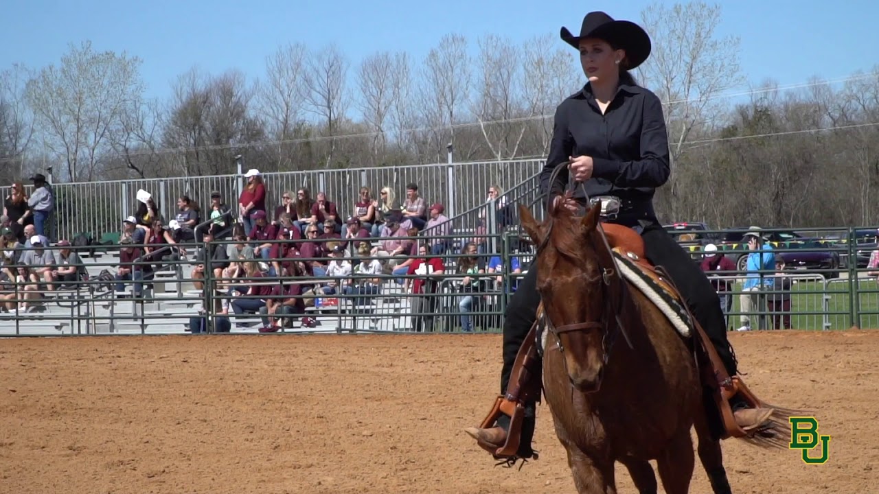 Baylor Equestrian: Highlights vs. Texas A&M - YouTube