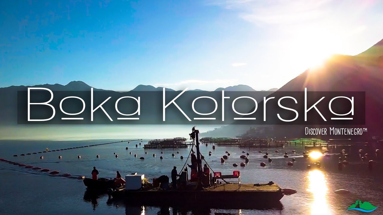 Fishing farms in the Boka Kotorska || One of world's most beautiful bay ...