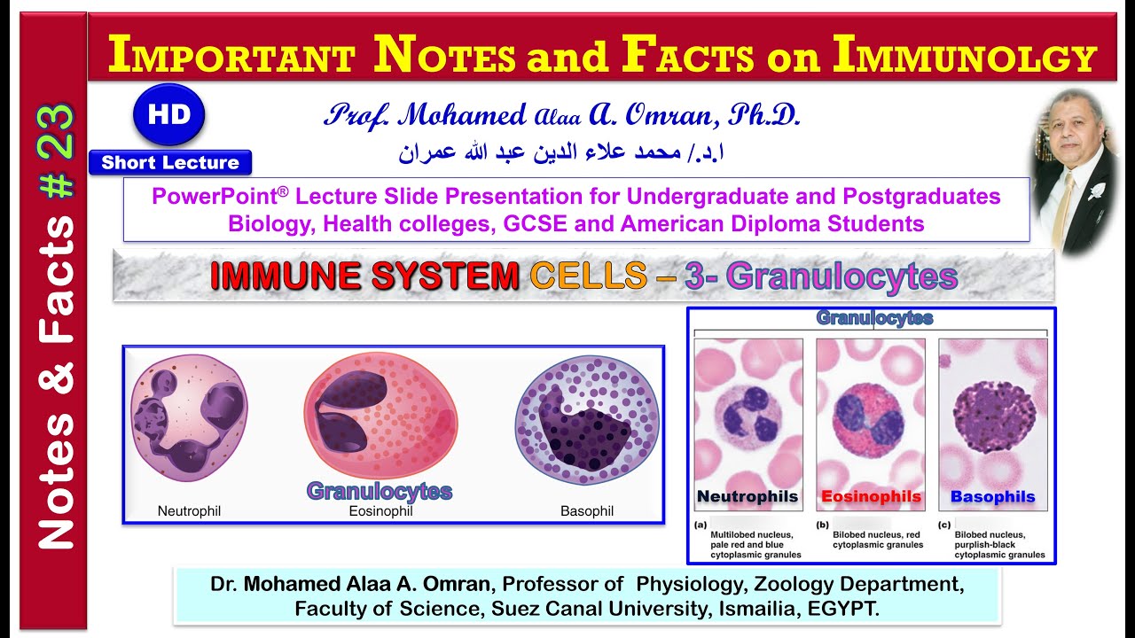 IMPORTANT NOTES and FACTS on IMMUNOLGY - Immune System Cells (3 ...