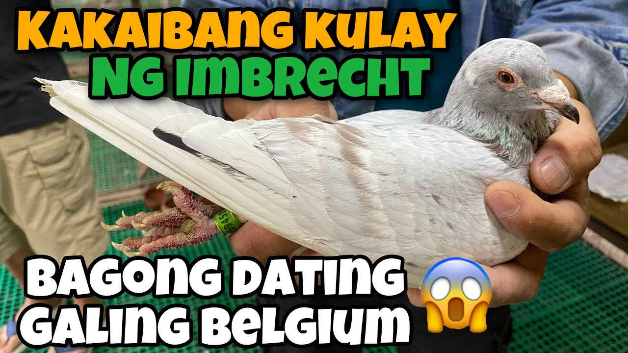 IMBRECHT GALING BELGIUM |LOFT VISIT TO MR. JIMMY GAN W/ NELSON CHUA ...