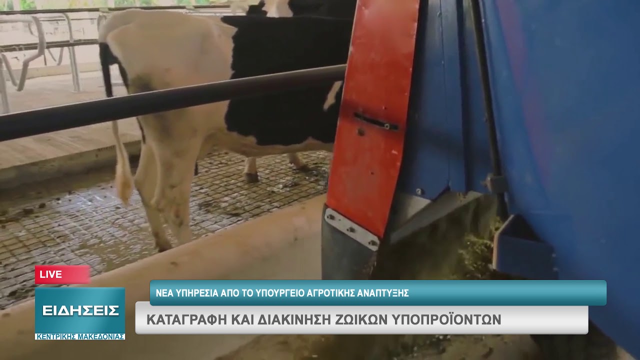 ΚΑΤΑΓΡΑΦΗ ΚΑΙ ΔΙΑΚΙΝΗΣΗ ΖΩΙΚΩΝ ΥΠΟΠΡΟΪΟΝΤΩΝ - YouTube