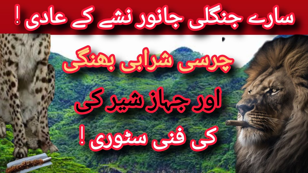 What Happens When the Jungle Gets High? Jungli Janwar Nashay Me ! - YouTube