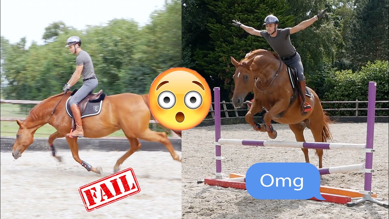 Horses Jumping With No Rider
