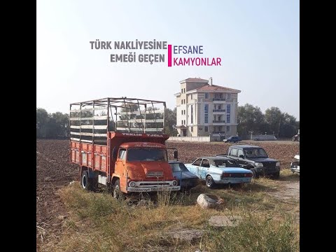 Thames Trader Türkiye