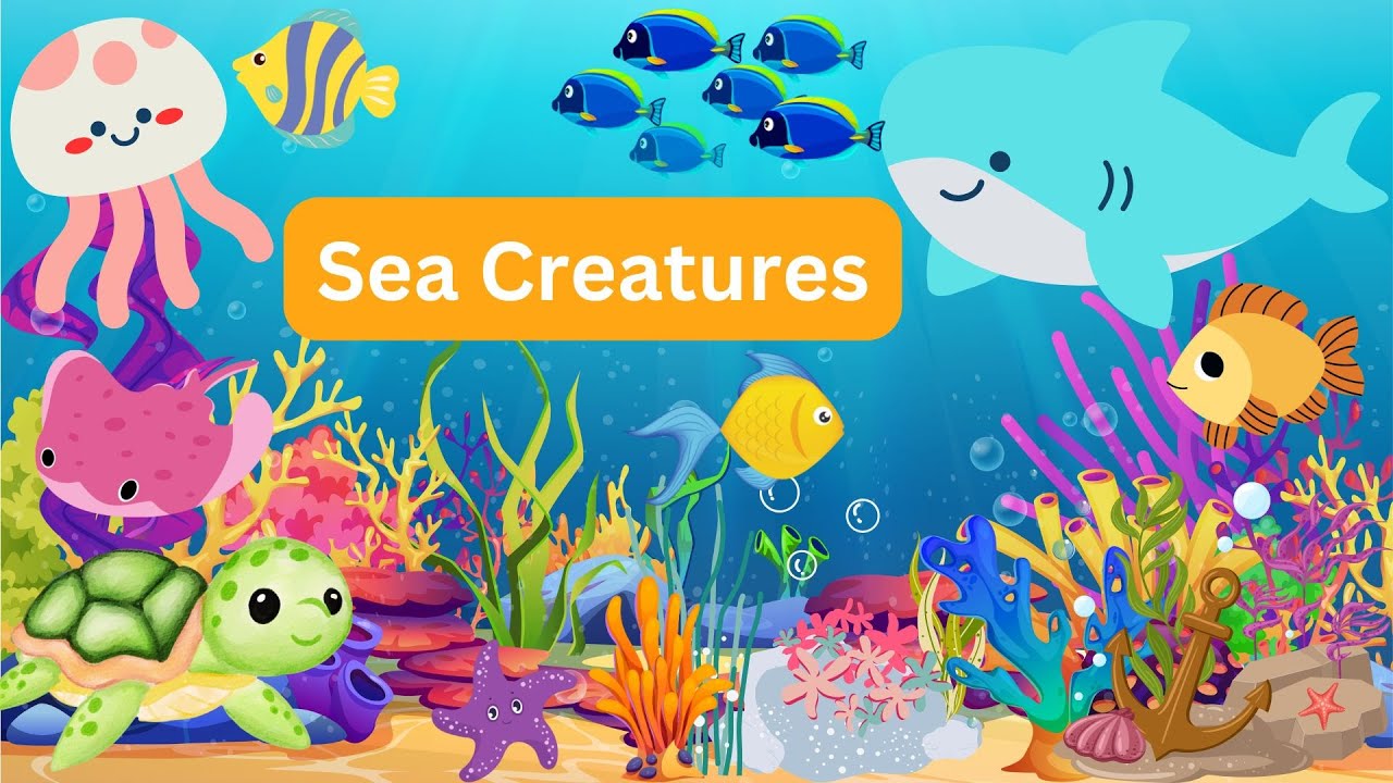 Sea Animals/ Learning video for kids/ Kids Educational Videos - YouTube
