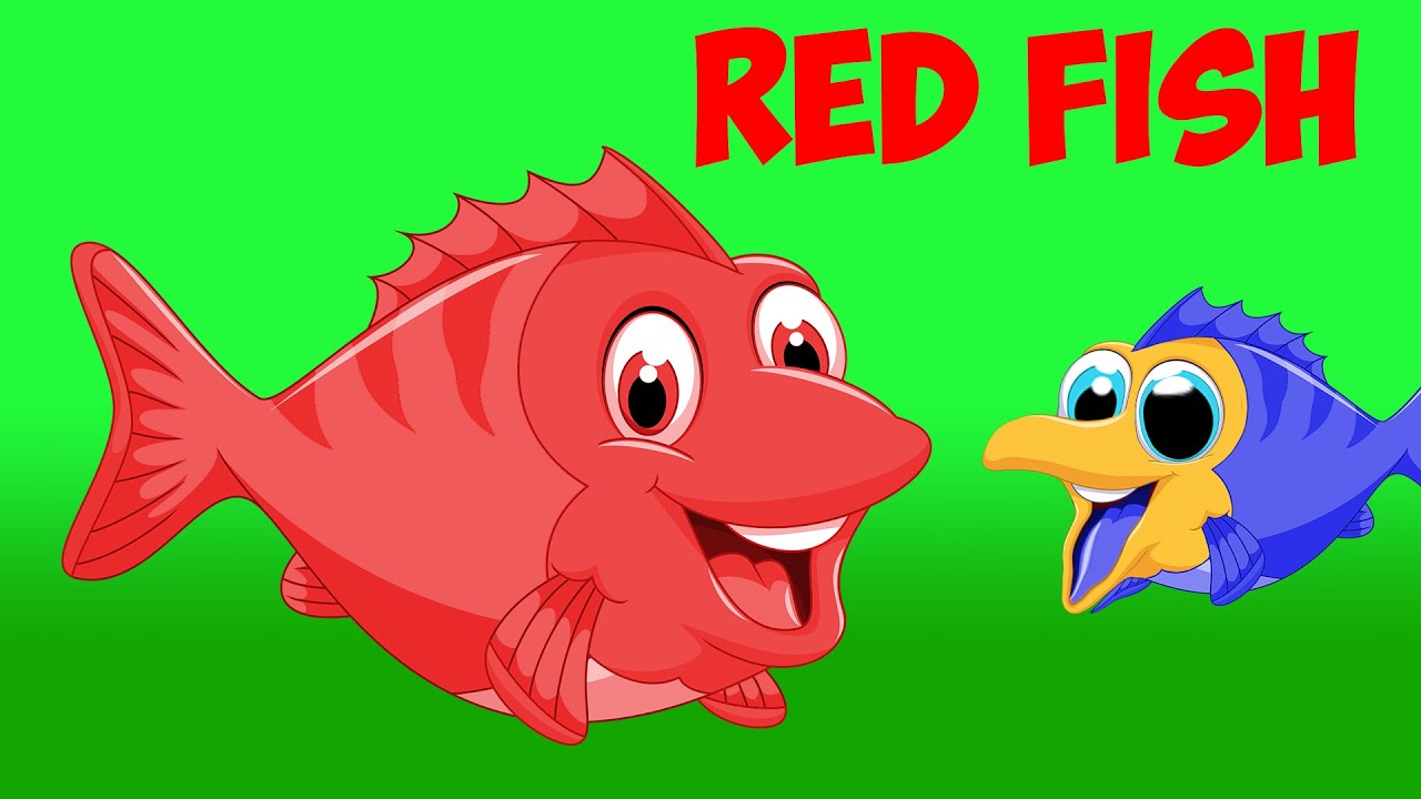 Red Fish - Happy Baby Songs Nursery Rhymes - YouTube