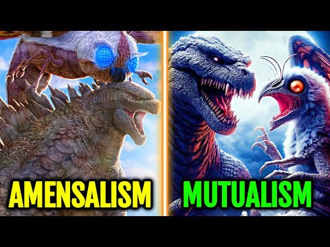 Godzilla And Mothra's Symbiotic Interesting Relationship - Why Do These ...