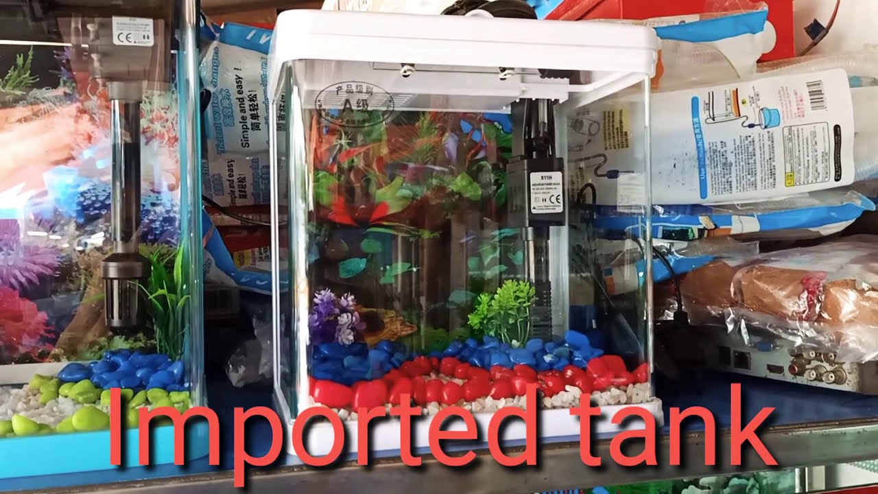 Low cost imported fish tank beta tank ball aquarium price - YouTube