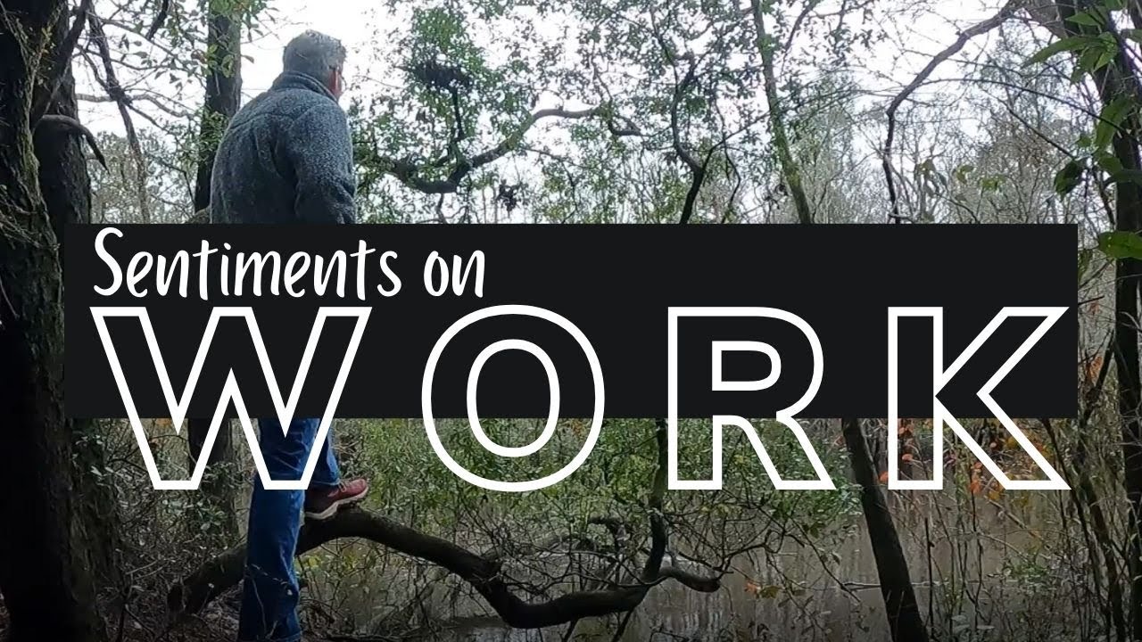Sentiments on WORK - YouTube