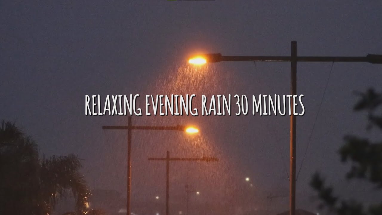RAIN SOUND FOR SLEEP ㅣ EVENING RAIN SOUNDㅣ30 MINUTES - YouTube