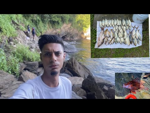 Fish Feeding Frenzy on The Rocks & Digging for Pacro Catch Clean & Cook ...