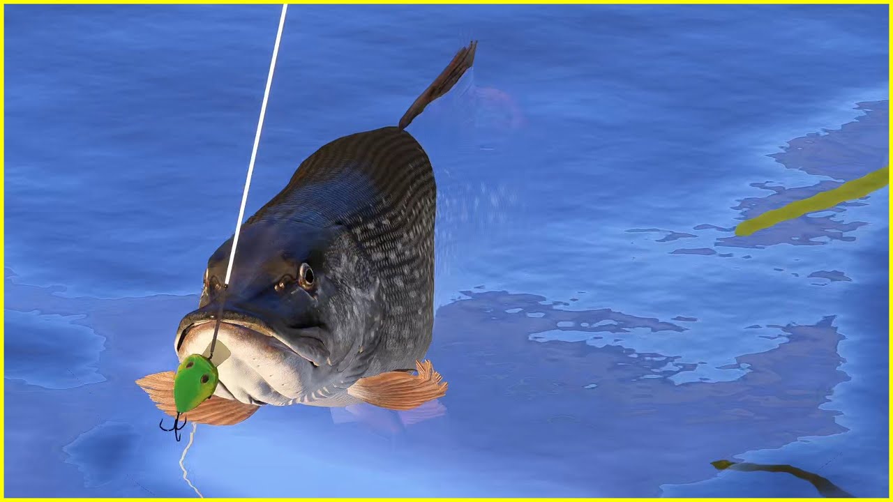 Pike Szczupak Russian Fishing 4 Old Burg | rf4 spot 347 - YouTube
