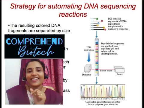Automated Dye-Terminator Method/ Sanger Sequencing/ Part 3 - YouTube