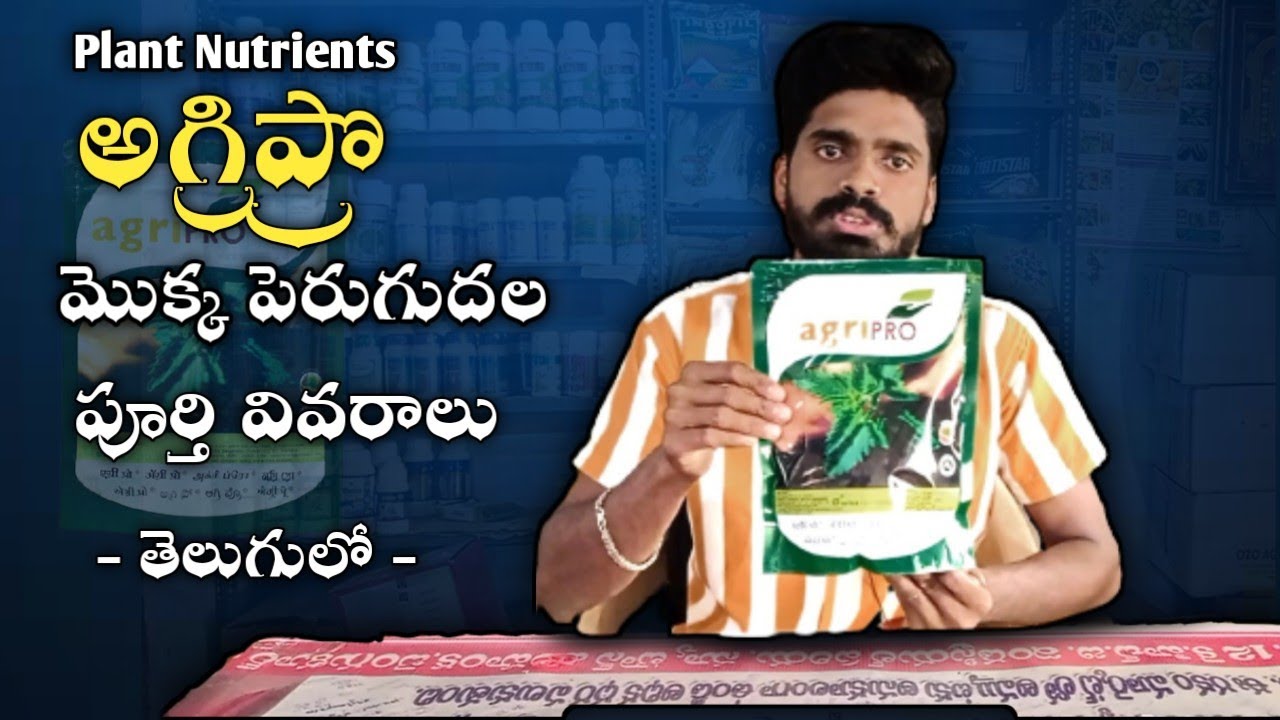 Aries Agripro Plant Nutrients use in chilli crop|Telugu|Rythu Manishi ...
