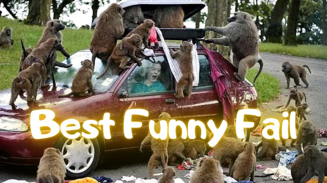 Best Funny Fail - Top Funny Video! Funny Fail Compilation [HD] - YouTube