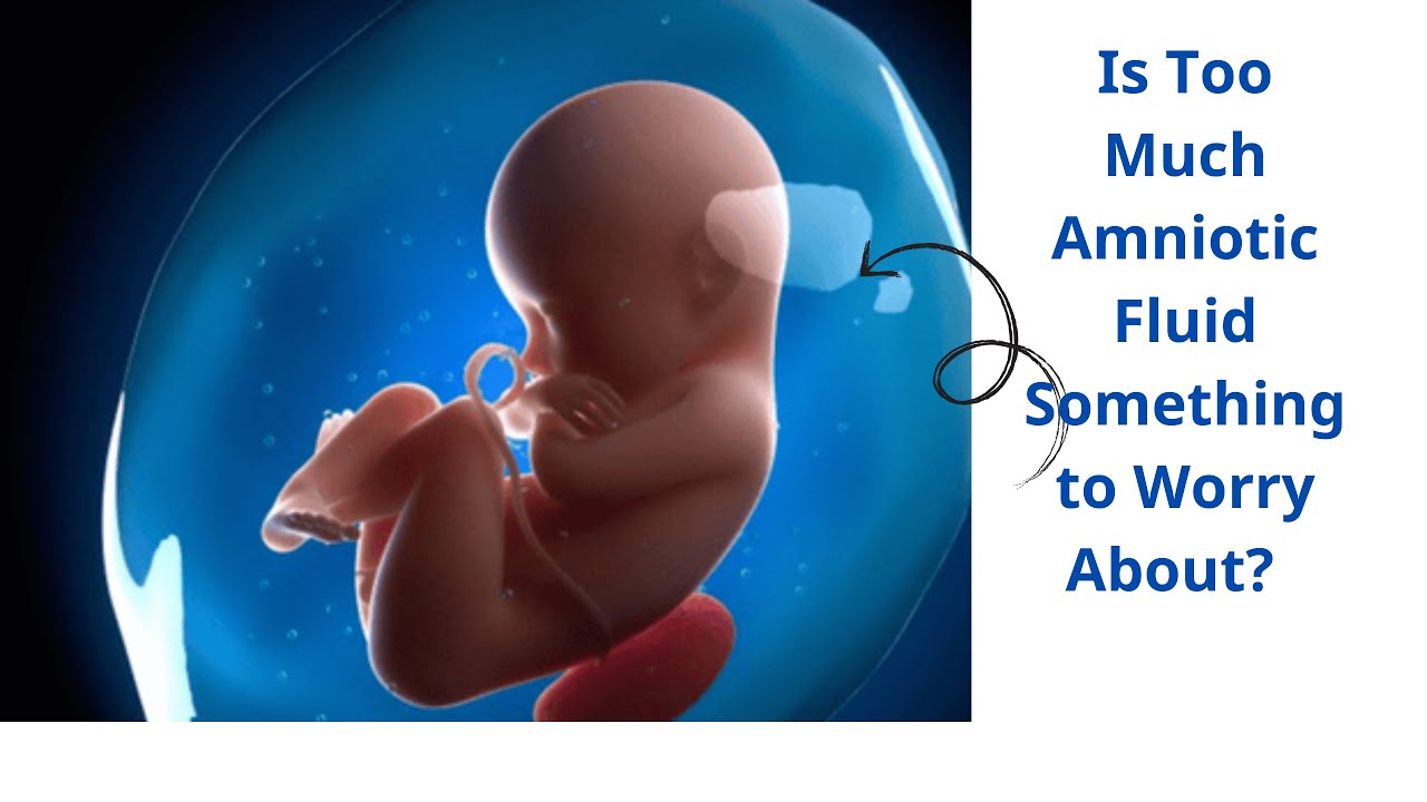 Is Too Much Amniotic Fluid Something to Worry About-Healthy Haven - YouTube