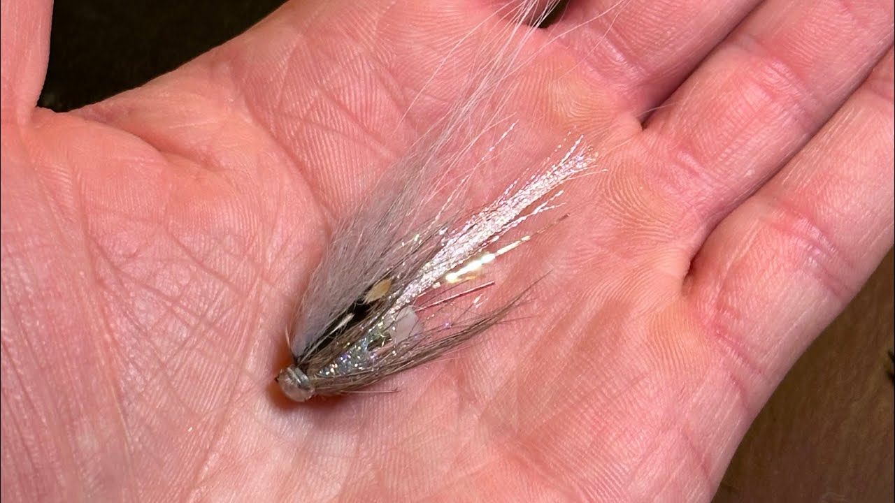 Steelhead Baitfish - Hair Wing Tube Fly - YouTube