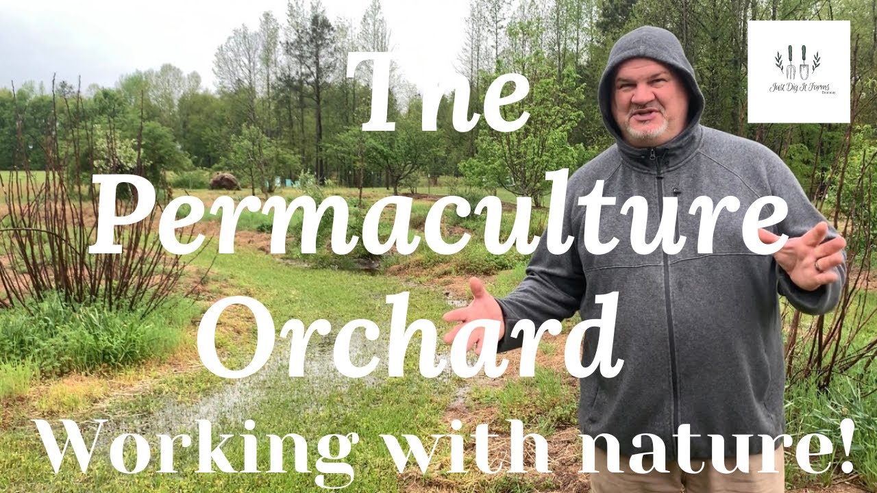 The Permaculture Orchard/working with nature! - YouTube