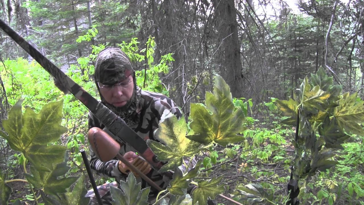 Idaho Black Bear hunt with a Firefly FX Longbow - YouTube