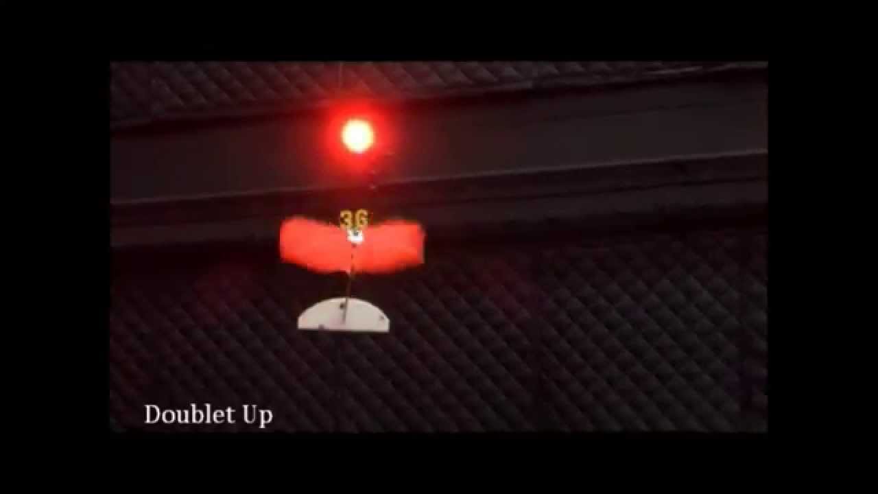 DelFly Flapping Wing Micro Aerial Vehicle System Identification ...