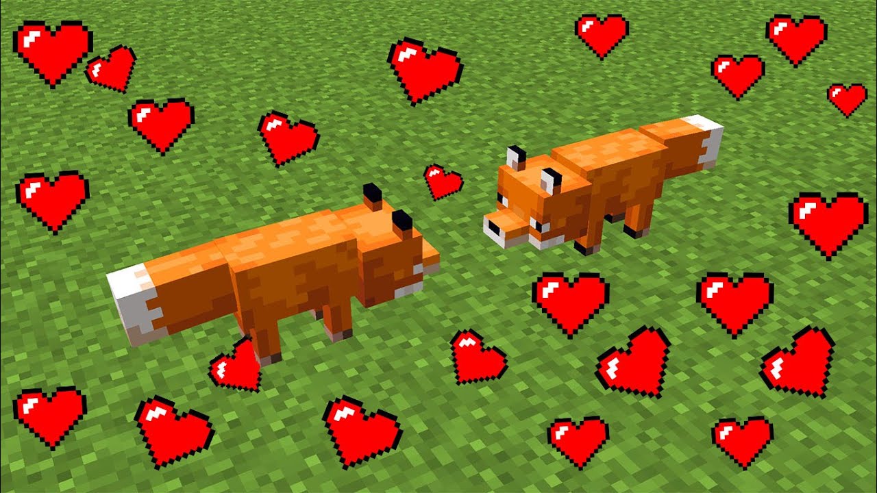 fox ️ fox - YouTube