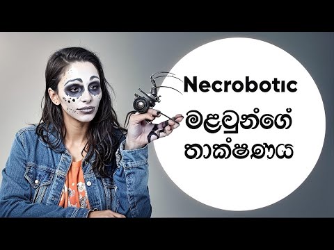 මළ සිරුරුවලින් හදන රොබෝවරු : Necrobotic Technology explained in Sinhala ...
