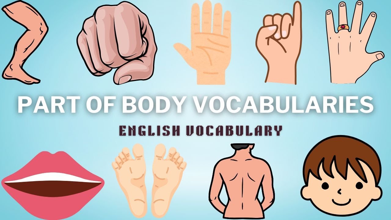 Learning English Vocabulary Part of Body with Pictures for All Kids and ...