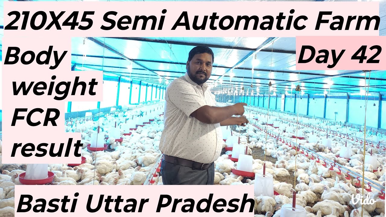 Automatic poultry || Environment Controlled Poultry Shed || Price of ...