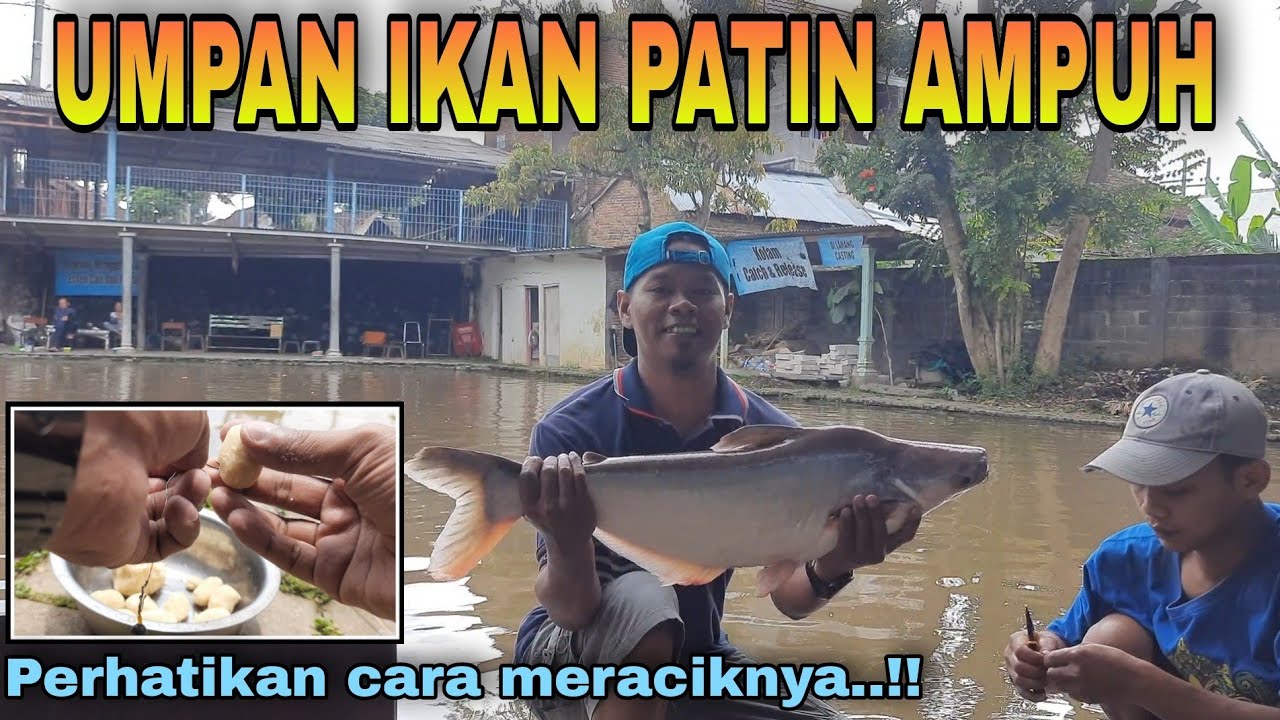RACIKAN UMPAN IKAN PATIN | Umpan roti AMPUH langsung dicoba - YouTube