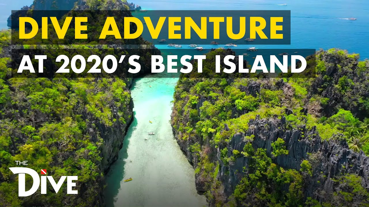 PALAWAN: Throwback Dive Adventure at the World’s Best Island 2020 | THE ...