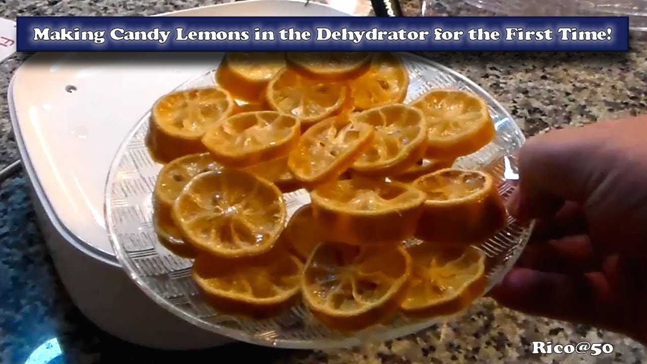 Making Candied Lemon with a Food Dehydrator!! First time :D - YouTube