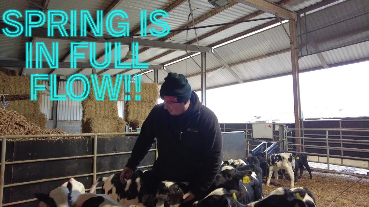 SPRING IS IN FULL FLOW / HOME FARM TOUR !! - YouTube
