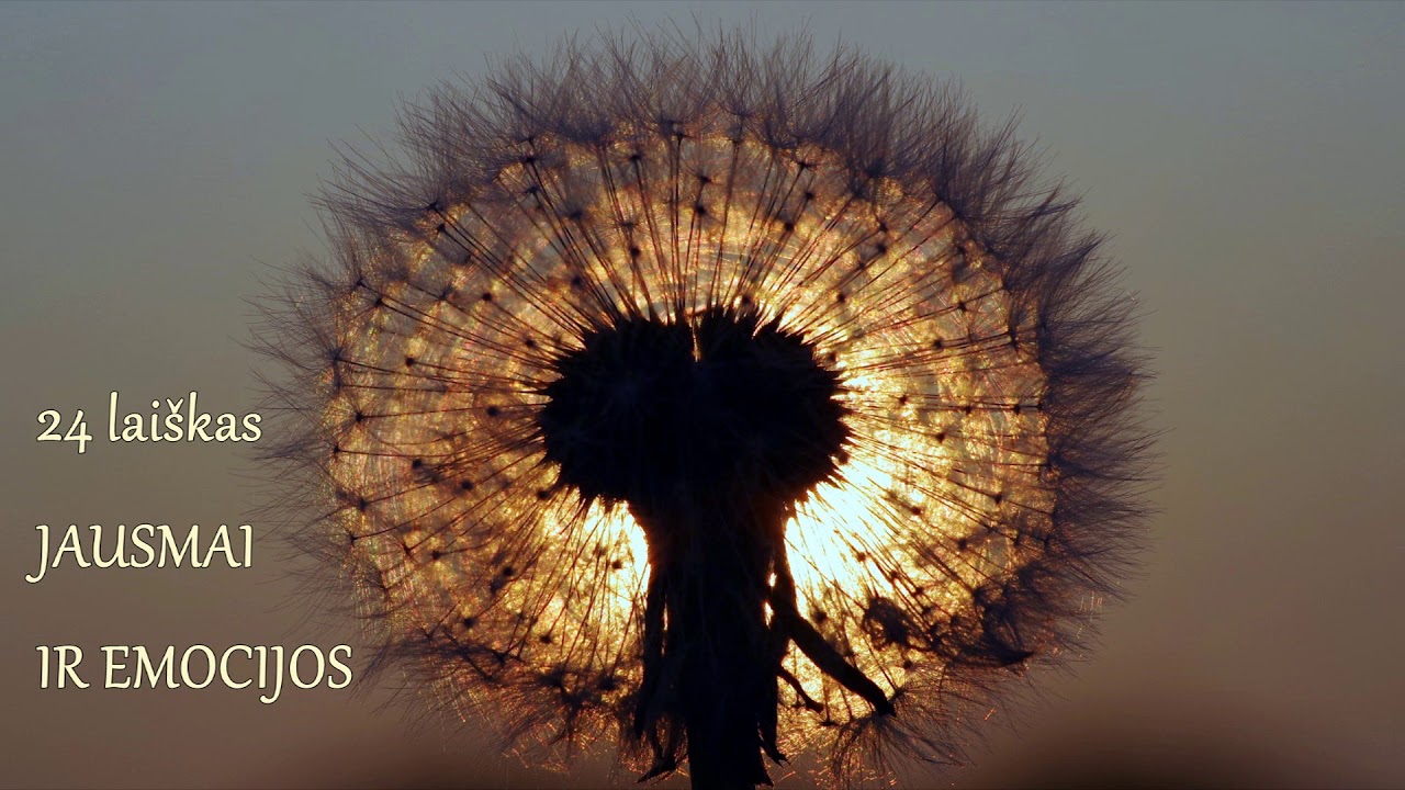 24 laiškas_JAUSMAI IR EMOCIJOS. "Savęs ir Visatos pažinimo link" I ...