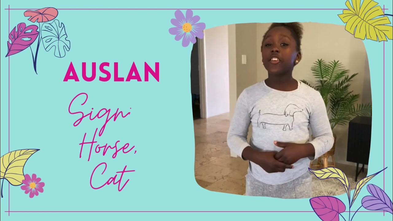 Learn to say horse 🐎 and cat 🐈 in AUSLAN (Australian Sign Language ...