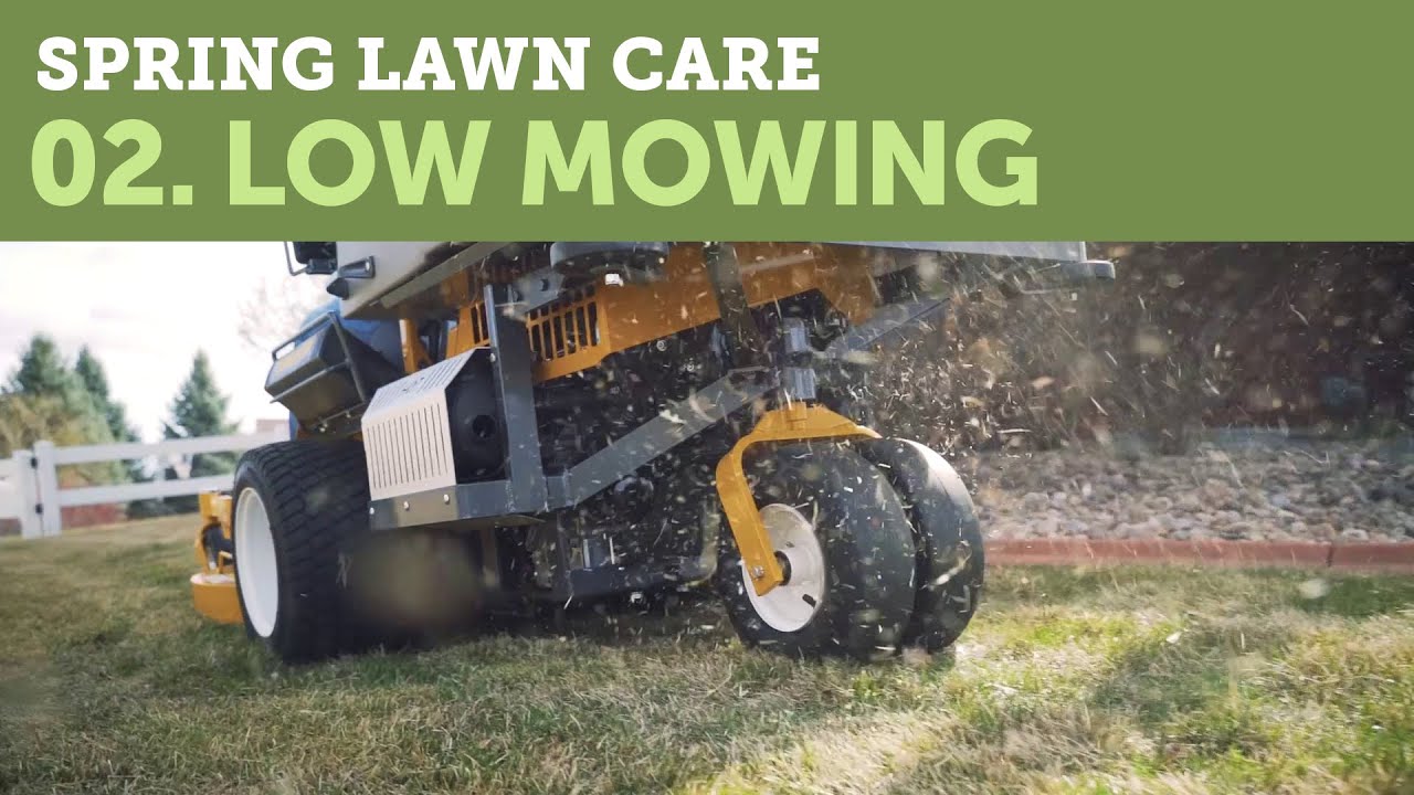 Low Mowing in Spring For a Healthy Lawn - YouTube