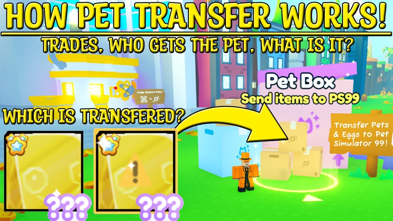 HOW PET TRANSFER WORKS? (Trades, Who Gets the Pet, What is it?) - Pet ...