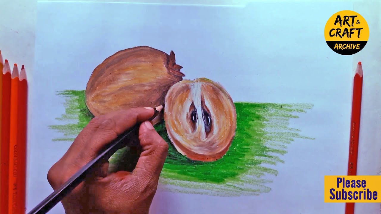 Chikoo drawing tutorial in Hindi - YouTube
