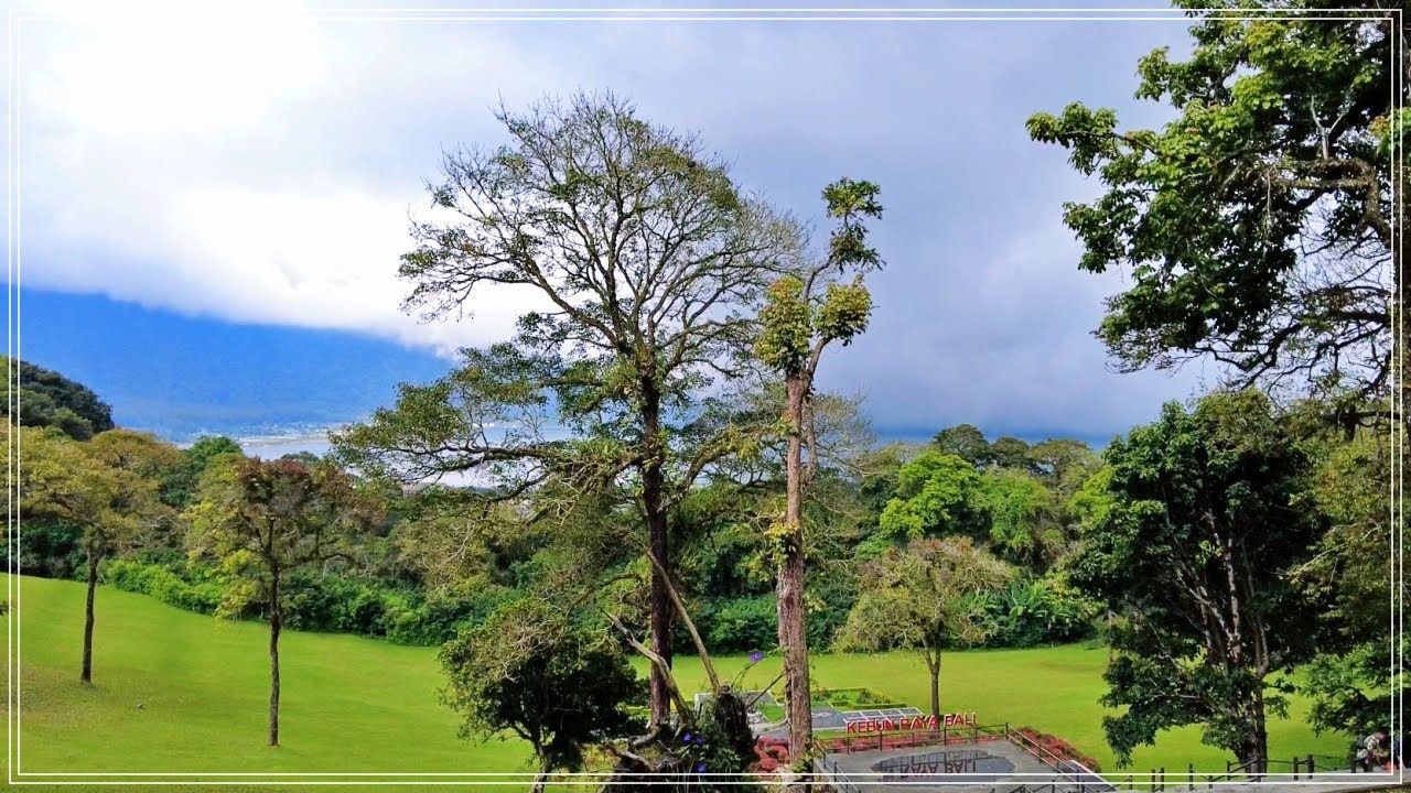 Ini Dia Spot Terbaik! di Kebun Raya Bedugul Bali - YouTube