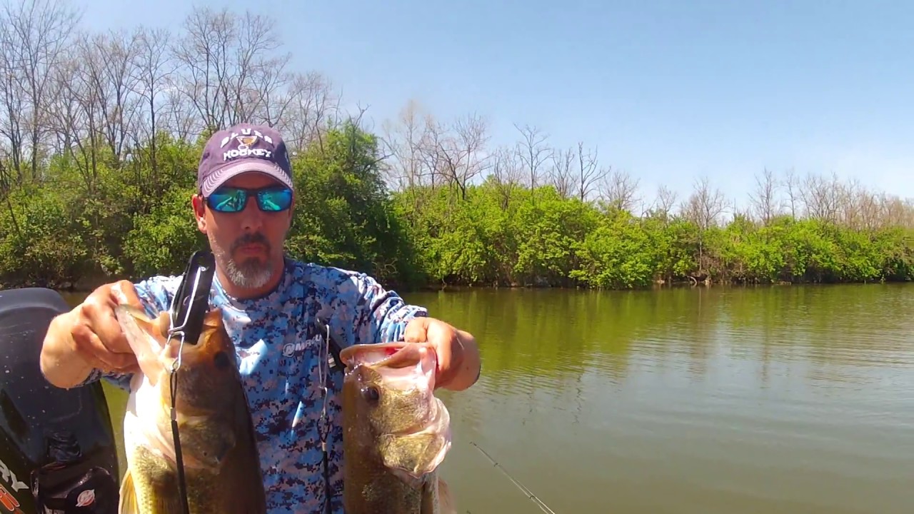 Clip Cull Testing (Solid Bass) - YouTube