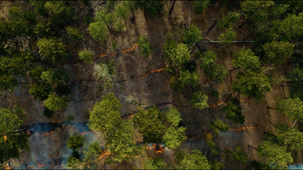 Prescribed Fire Case Study - Munro - YouTube