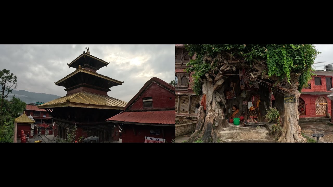 Gokarna Tree Cave - YouTube