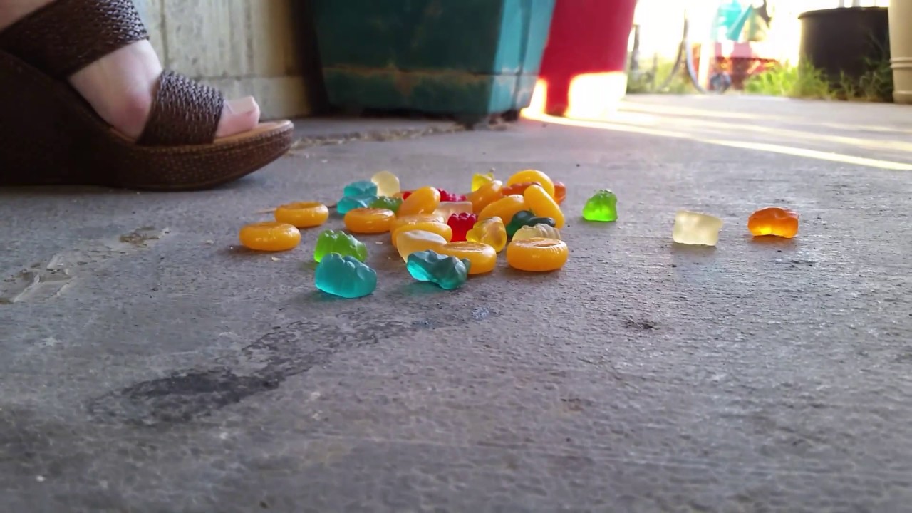 Butterscotch Disc and Gummy Bear Stompin' Time - YouTube