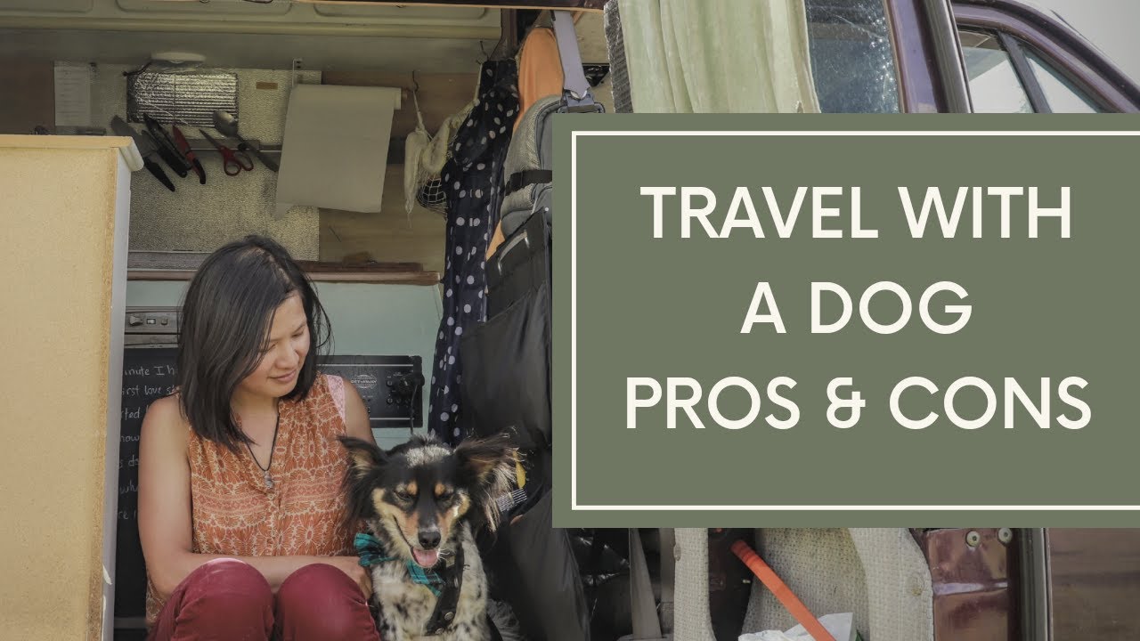 VAN LIFE |TRAVEL WITH A DOG for SOLO FEMALE | Pros and Cons - YouTube