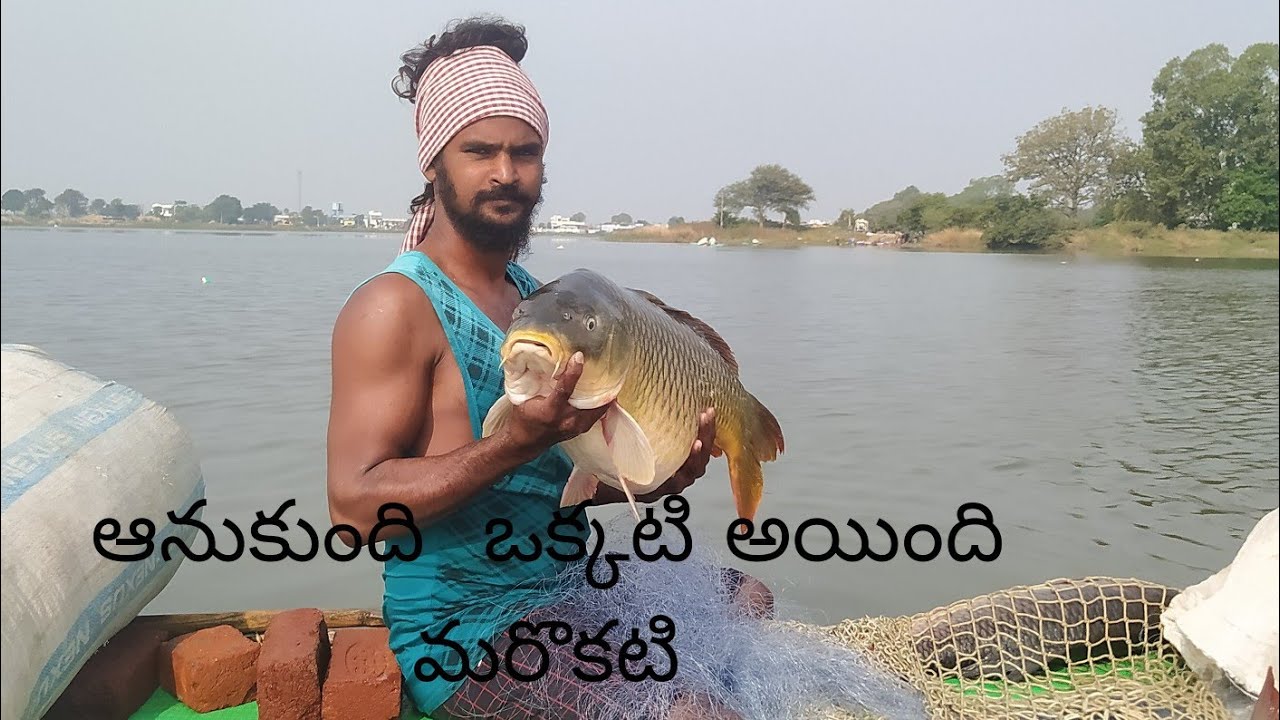 fish hunting vlog nirmal #shorts #videos - YouTube