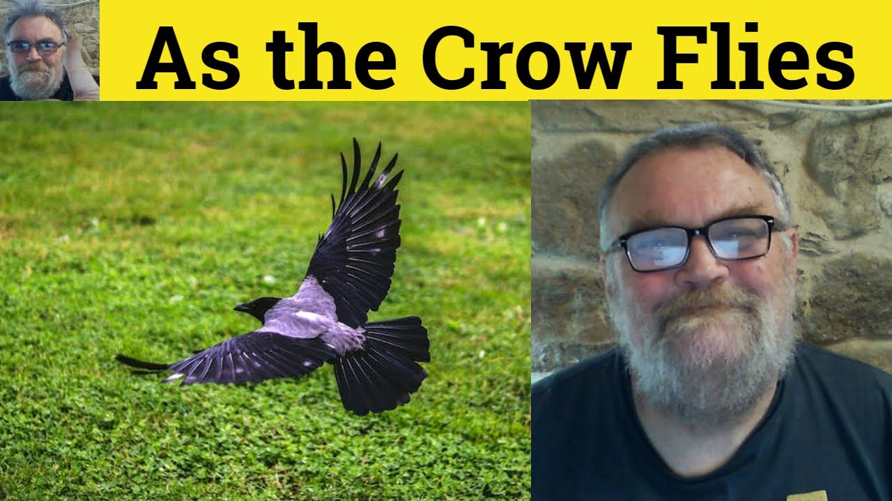 🔵 As the Crow Flies Meaning - As the Crow Flies Definition - As the ...