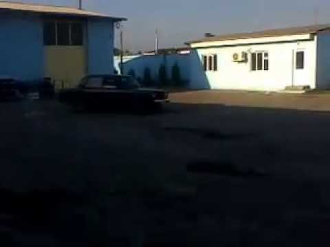 gence avtoslari 2013